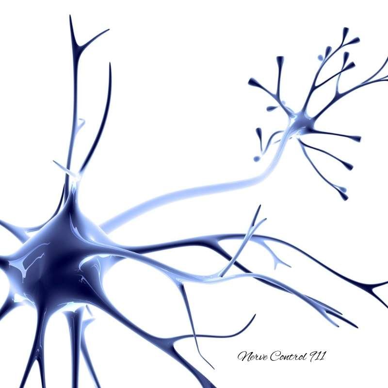 Who Should Take Nerve Control 911 And What Are Its Benefits? - nitrobyt